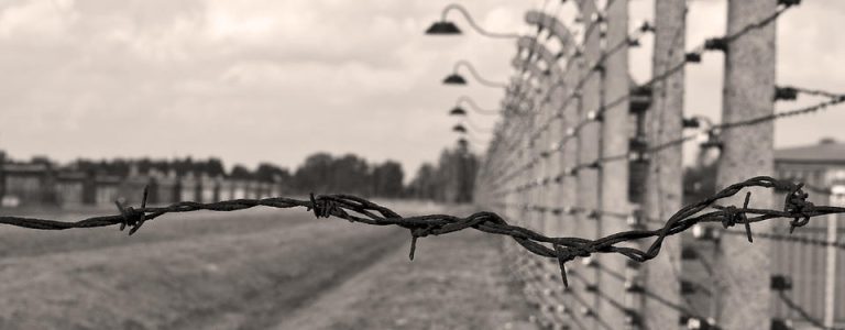 Snubbelstenar - Forum för levande historia