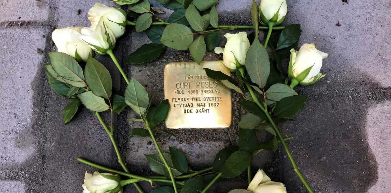 Snubbelstenar - Forum för levande historia